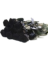 Send Roses in Brazil | Roses delivery in Brazil online | Cyber-Florist.com