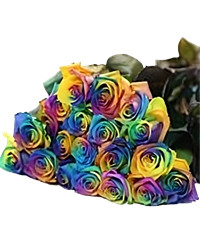 Send Roses in Brazil | Roses delivery in Brazil online | Cyber-Florist.com