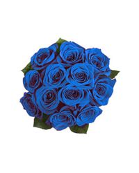Send Roses in Brazil | Roses delivery in Brazil online | Cyber-Florist.com